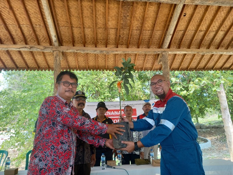 PHE TEJ Bagikan 1000 Pohon Alpukat